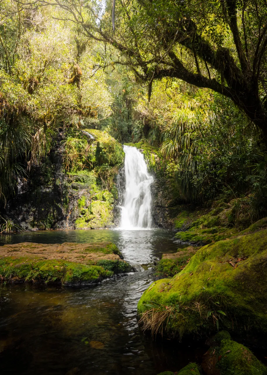 Whataroa Falls at Ōtanewainuku Forest